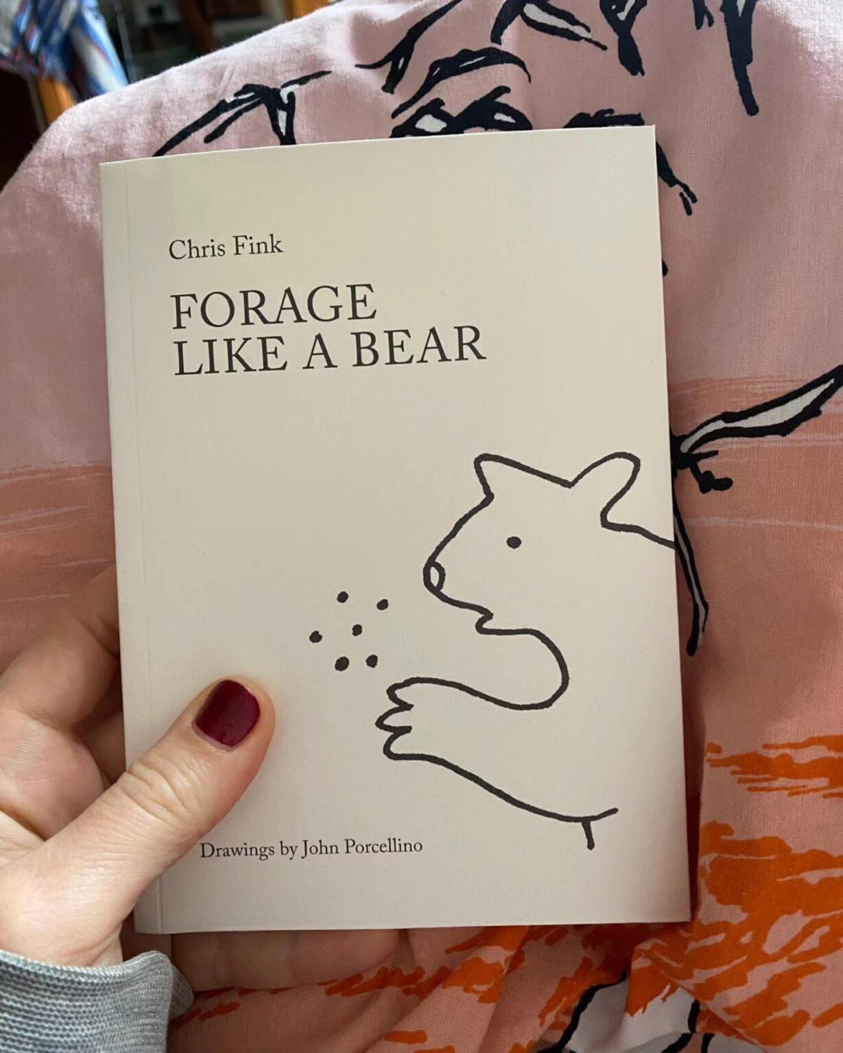 John Porcellino & Chris Fink Release Forage Like a Bear at Quimby’s ...