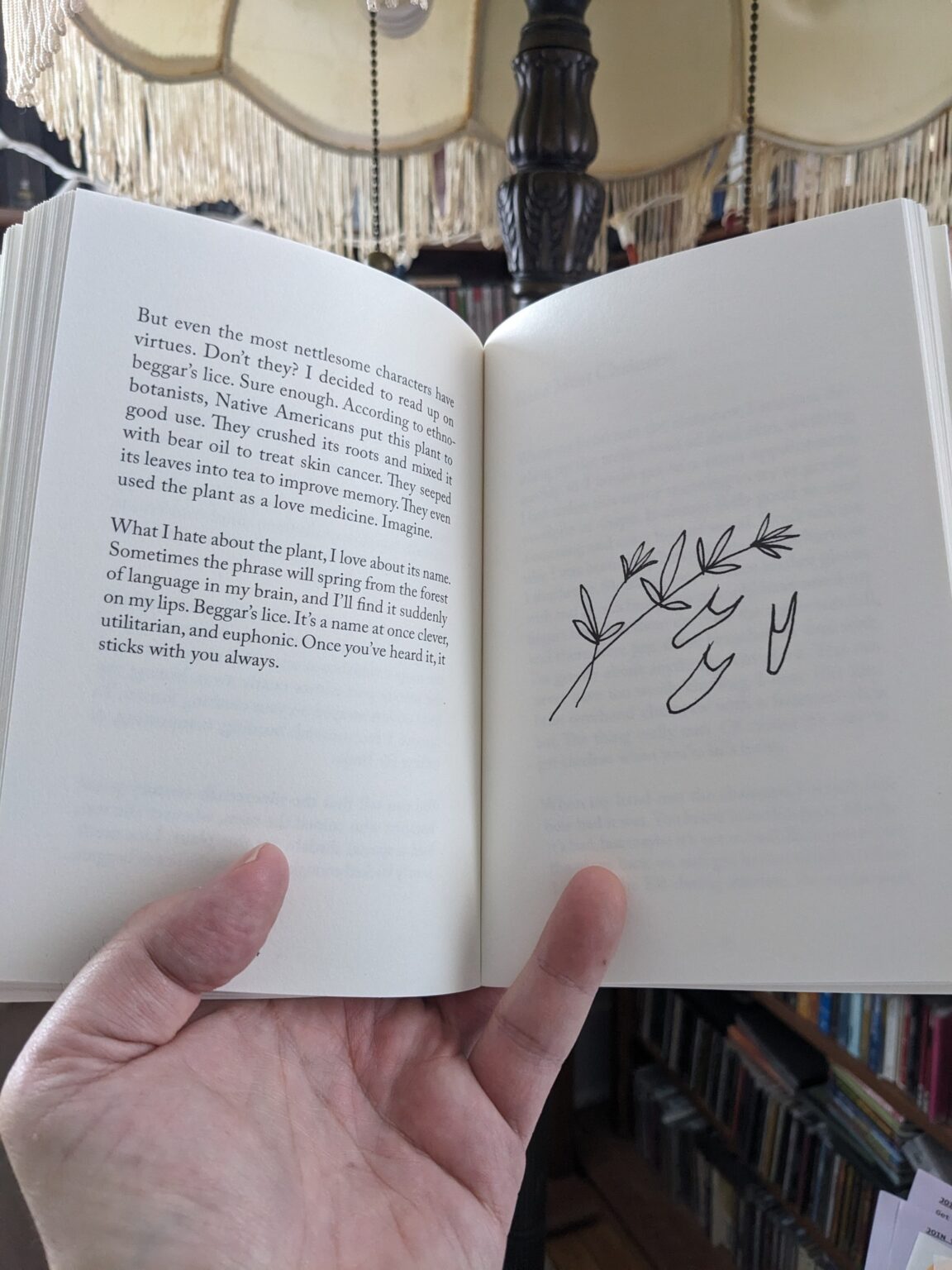 John Porcellino & Chris Fink Release Forage Like a Bear at Quimby’s ...